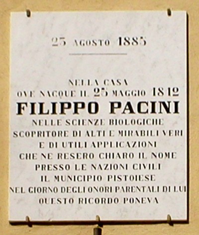Egy kis anatómia – Vater-Pacini testecske